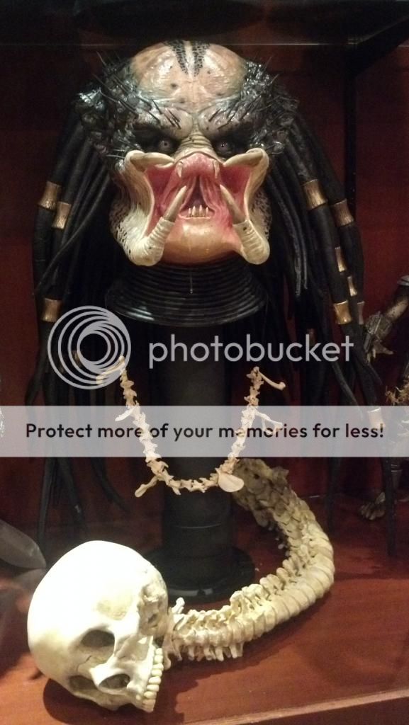 PREDATOR P1 replica necklace and Spine/Skull Trophy | RPF Costume and ...